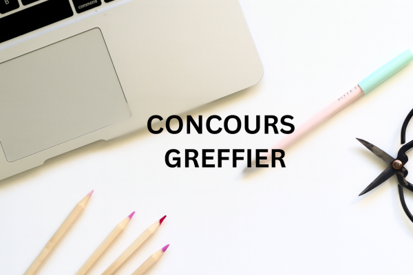 Lex-Elan préparation concours greffier et DSGJ