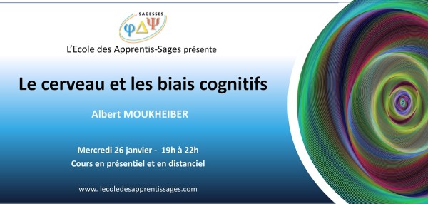 Le Cerveau Et Les Biais Cognitifs Ecole Des Apprentis Sages